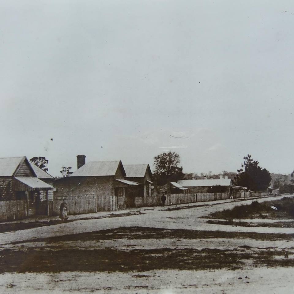 Longwarry – A Town Grows 1878 to the 1930’s - Longwarry & District